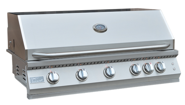 40” Built-In Gas Grill with 5 Burners and Back Burner for Perfect BBQ